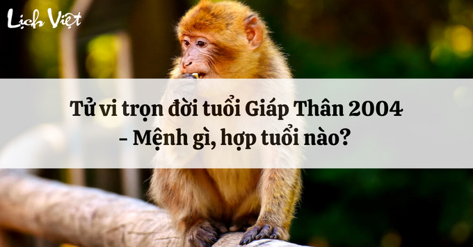 Tử vi trọn đời tuổi Giáp Thân 2004 - Mệnh gì, hợp tuổi nào?