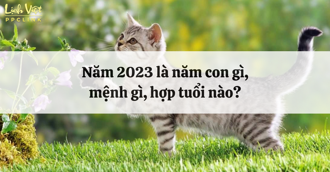 Năm 2023 là năm con gì, thuộc mệnh gì, hợp tuổi nào
