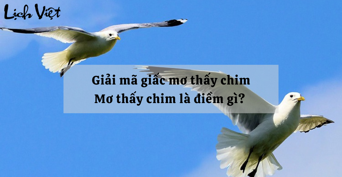 Giải mã giấc mơ thấy chim - Mơ thấy chim là điểm gì?